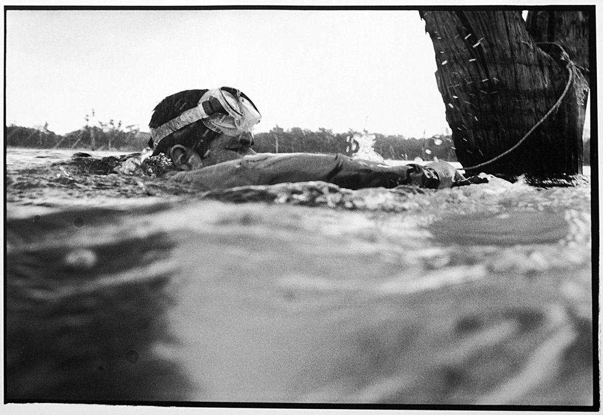Underwater logging in Panama – BOP Photography