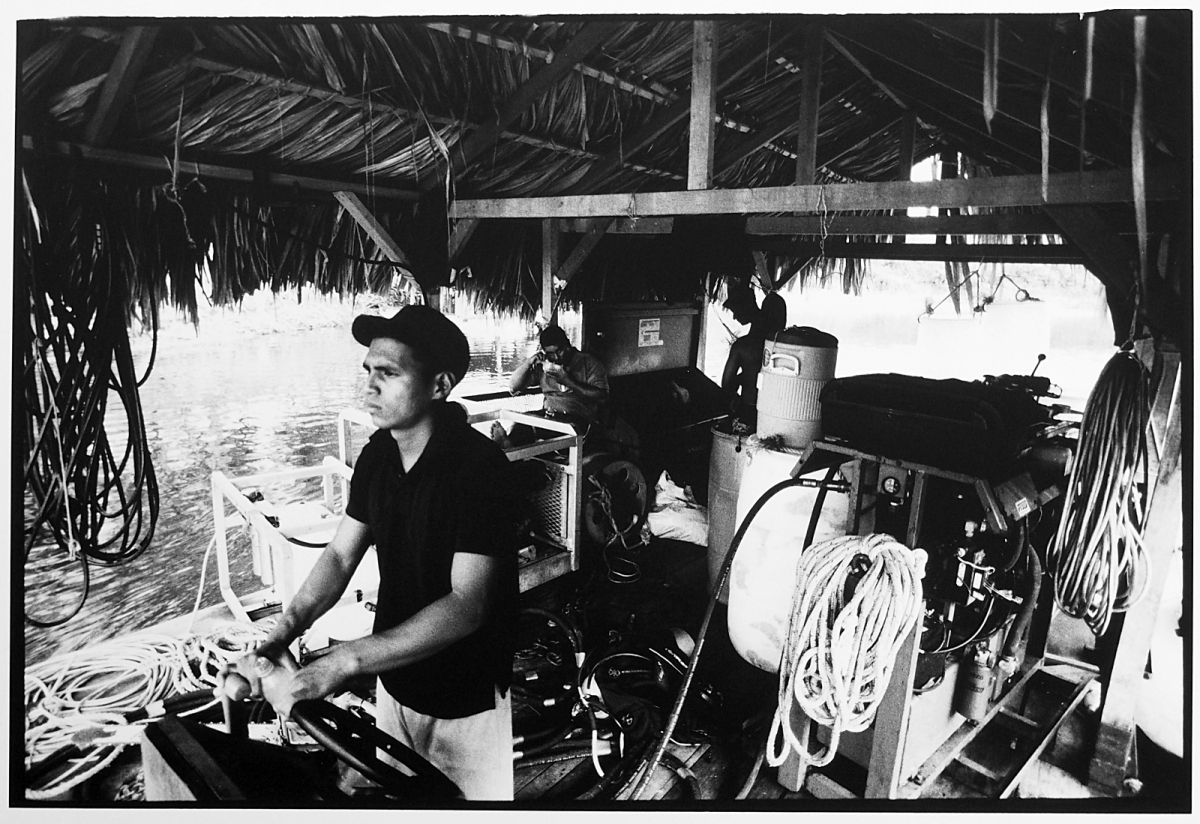 Underwater logging in Panama – BOP Photography