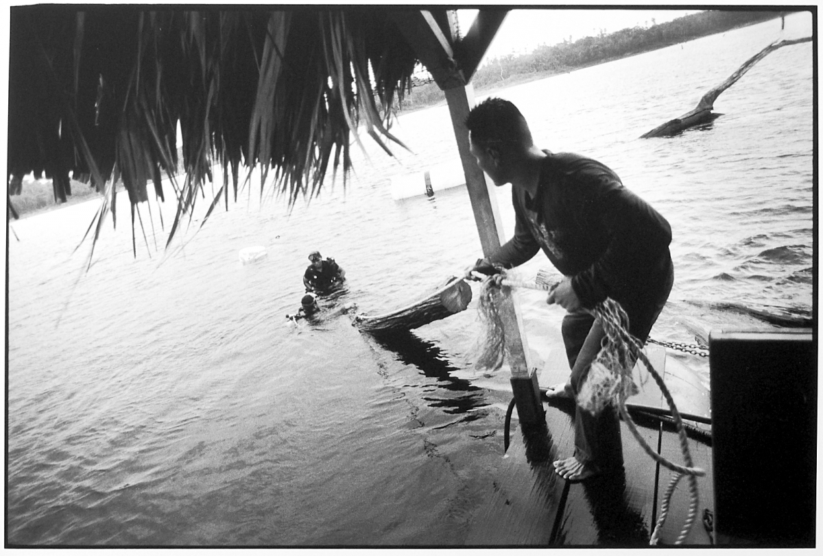 Underwater logging in Panama – BOP Photography